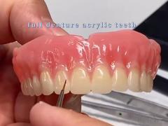 Dentes de sucção projetados para um ajuste seguro e maior conforto oferecendo uma solução ideal para usuários de dentaduras removíveis