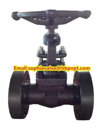 China ANSI A105N forged gate valve for sale