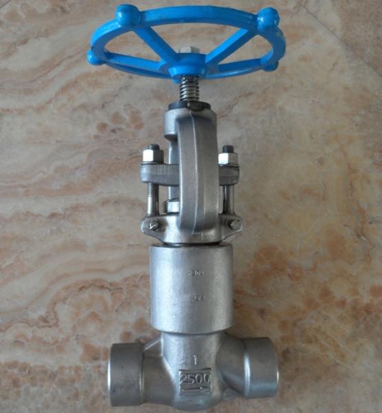 Quality A182 F304/304L stainless steel forged globe valve for sale