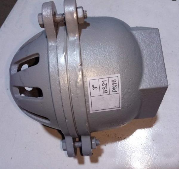 Quality 2'' PN16 BS21 foot valve manufacturer for sale