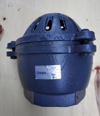 Quality 4'' GG20 PN16 BS21 cast iron foot valve for sale