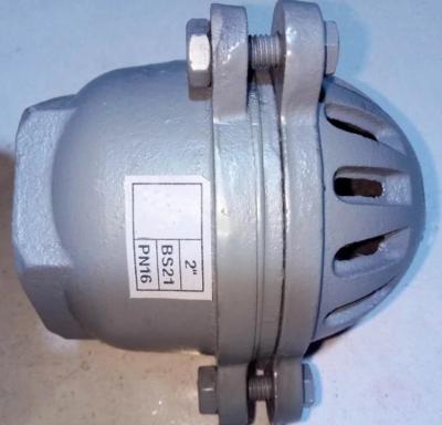 Quality 4'' GG20 PN16 BS21 cast iron foot valve for sale