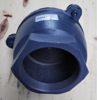 Quality 4'' GG20 PN16 BS21 cast iron foot valve for sale