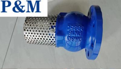 Quality DN100 PN16 GGG50 cast iron flanged foot valve for sale