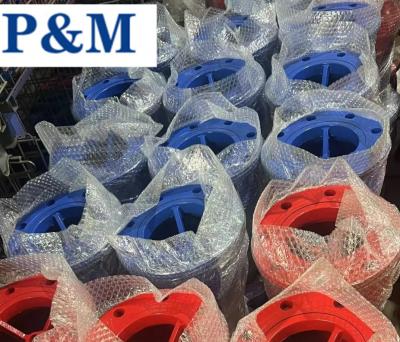 Quality DN100 PN16 GGG50 cast iron flanged foot valve for sale