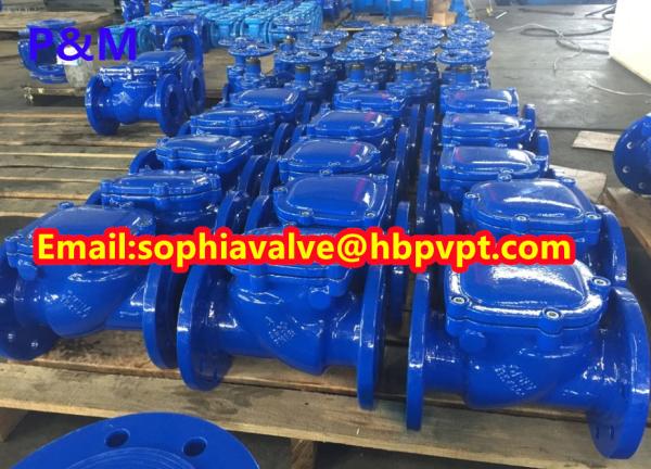 Quality resilient seal PN10/PN16 cast iron swing check valve for sale