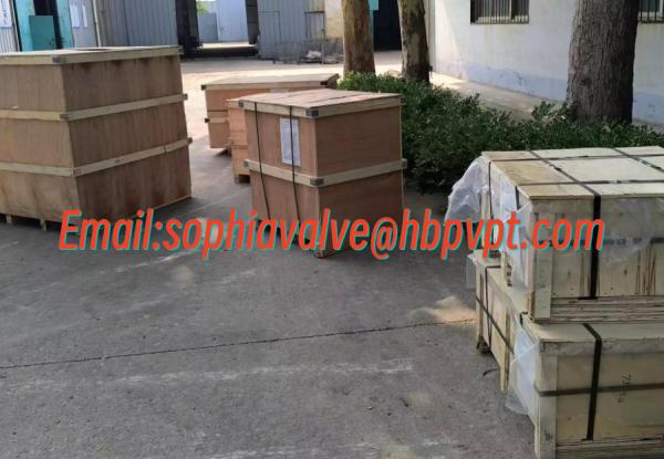 Quality BS21 PN10 cast iron threaded foot valve for sale