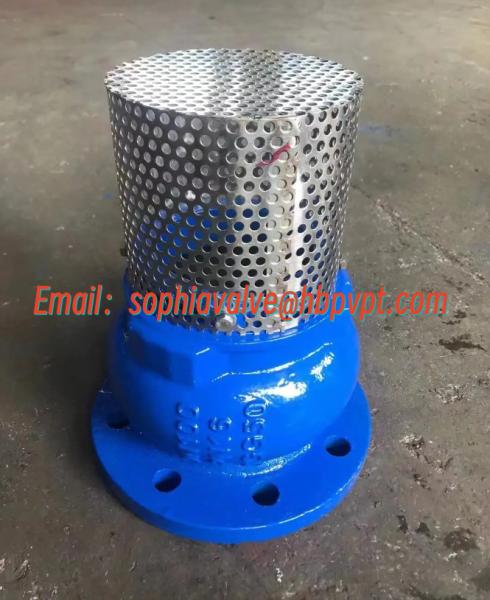 Quality manufacture foot valve PN16 GGG50 cast iron material for sale