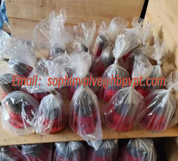 Quality manufacture foot valve PN16 GGG50 cast iron material for sale