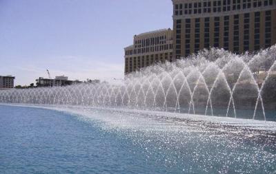 Cina Ugelli della fontana di dancing dell'oscillazione DN50 del gabbiano dell'acciaio inossidabile in vendita