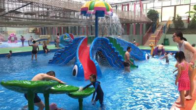 Cina Acquascivolo della vetroresina dell'attrezzatura 8000x8000mm del parco dell'acqua dei bambini in vendita