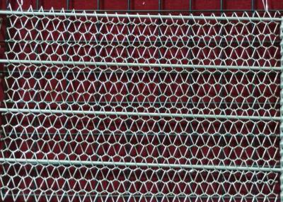 Cina AISI304 d'argento 1mm ss fissano il trasporto di Mesh Conveyor Belt For Egg in vendita