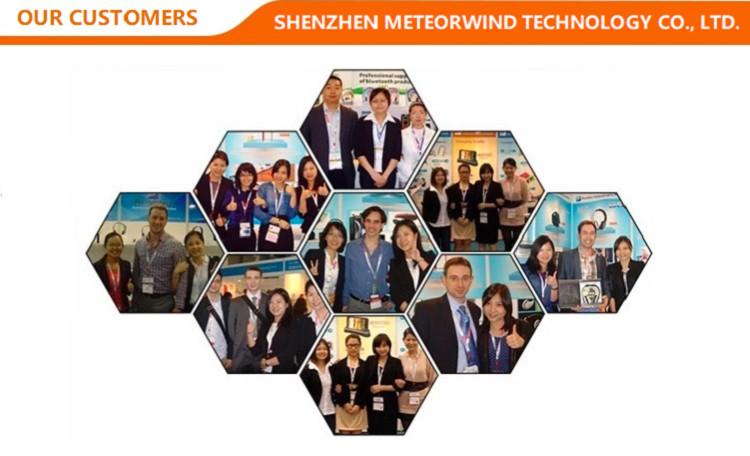 Fornitore cinese verificato - Shenzhen MeteorWind Technology Co., Ltd