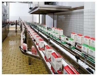 China Conveyor Plastic Modular Belt For Dairy And Beverage Industry Transferring for sale