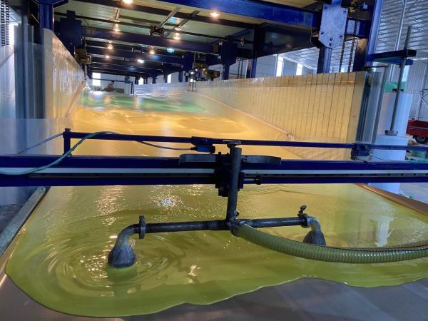 Quality Horizontal Continuous Foam Machine for sale