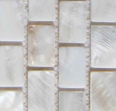 China Handgemachtes schönes See-Oberteil Wand-Mosaik-Frischwasser- See-Shell-Mosaik-Muster 10x20mm zu verkaufen