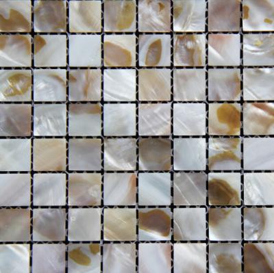 China Pedazos coloridos del mar de la cáscara del mosaico del mosaico de agua dulce hermoso hecho a mano de Shell pequeños 20x20m m en venta