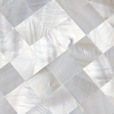 Handmade Beautiful Sea shell Wall Panel Freshwater Shell Decorating Panel Pieces 20x20mm