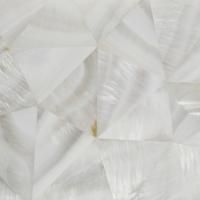 China Handmade Sea Shell Wall Panel Triangle 10-35mm Freshwater Shell Mosaic for Indoor Decoration for sale