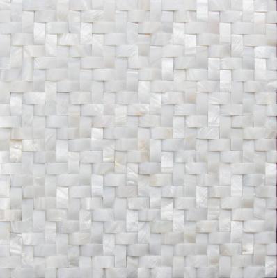 China Konvexe Oberflächen- schöne See-Oberteil Wand Frischwasser-Shell, das Platte 10x20mm verziert zu verkaufen