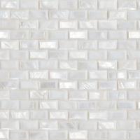 China Convex High Block Freshwater Sea Shell Wall Panel Mosaic 10x20mm Custom Size for sale