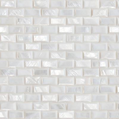 China El alto panel de pared convexo de la cáscara del mar de la superficie del bloque Shell de agua dulce que adorna el panel 10x20m m en venta