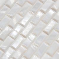 China Convex High Block Freshwater Sea Shell Wall Panel Mosaic 10x20mm Custom Size for sale