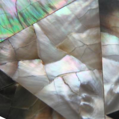 China With Breaking Veins Sea shell Wall Panel Black Butterfly Shell Decorating Panel 10-35mm for sale