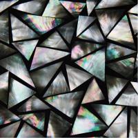 China Black Butterfly Shell Wall Panel Mosaic 10-35mm Custom Size Seashell Decor for sale