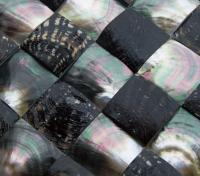 China Black Butterfly Sea Shell Wall Panel Convex Surface 60x60mm Mosaic Tile for sale