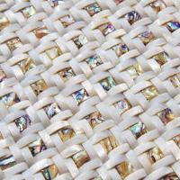 China Convex Surface Sea Shell Wall Mosaic Freshwater Shell Mixed Abalone Panel 7x22mm for sale