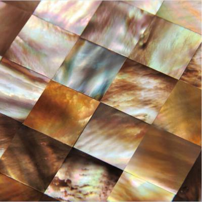 Chine Le pingouin naturel Shell de revêtement mural de coquille de mer décorant le panneau de mur ajustent des morceaux 20x20mm à vendre