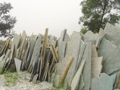 China Losa al azar de la cuarcita de la ostra, piedra loca de la cuarcita amarilla, ajardinando piedras en venta