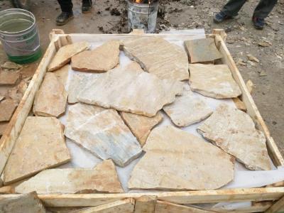 China Losa al azar de la cuarcita de la ostra, patio de la losa de la cuarcita, piedra loca, ajardinando la piedra en venta