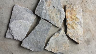 China Cuarcita irregular de piedra loca de la losa de la losa al azar azul de la cuarcita que ajardina piedras en venta