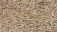 China Oyster Split Face Slate S Clad Stone Cladding 600x150mm Natural Split Surface for sale