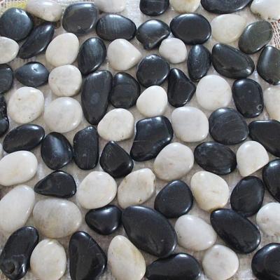 Chine Mosaïque noire mélangée blanche de caillou, pierre polie de pavé sur la maille, feuille en pierre de mosaïque de rivière, cailloux engrenés à vendre