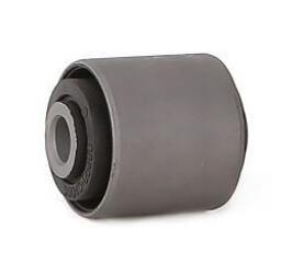 Cina boccola del braccio di controllo dell'automobile 55045-06J00 per NISSAN TERRANO II R20 1993-2006 in vendita