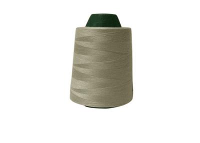 Cina 100% tinto resistente ha filato il filo 40S/2 Eco variopinto del poliestere amichevole in vendita