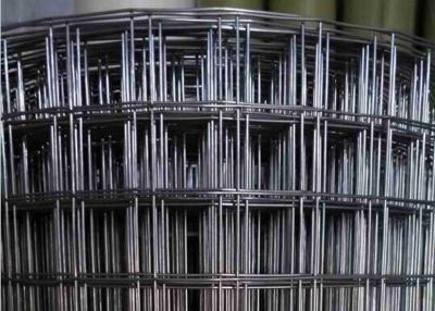 중국 50x50 304 1등급 " 여는 Ss 용접철망 0.020 " 0.059 0.078 지름 판매용