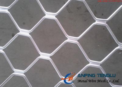 China Beautiful Grid Mesh For Protection Firm Structure And Corrosion Resistance for sale
