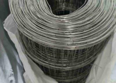 중국 녹슬지 않은 1Mesh/Inch 0.047 0.063 0.080 " 와이어 스테인레스 강 용접 그물 판매용