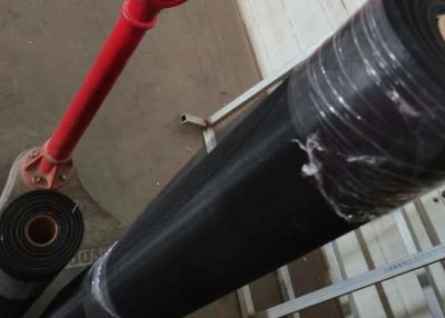 Chine Maille enduite d'époxyde de la maille 18x14 d'acier inoxydable d'AISI 304 à vendre