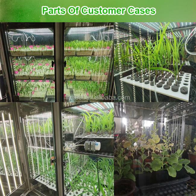 LIYI Plant Growth Chamber Artificial Climate Seed Germination Machine Plant Growth Box Incubator