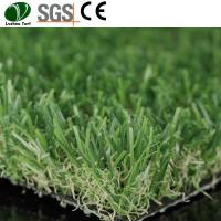 China Plastic Grass For Wall Garden Artificial for sale