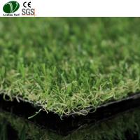 China Artificial Grass Carpet / Green Grass Carpet Roll for sale