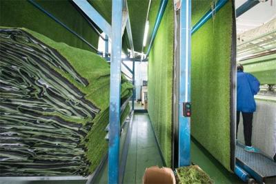 中国 景色の屋内人工的な草のペイントボール分野 販売のため