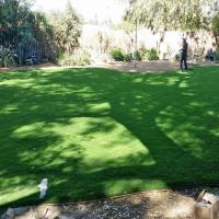 China 30mm Artificial Grass Suitable For Dogs / Turf Grass Backyard Front Yard Use for sale