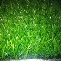 China 30MM Artificial Grass Around Pool Area Multi Shape S U C Shape Available for sale