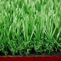China One Color Plastic Indoor Real Grass Floor for sale